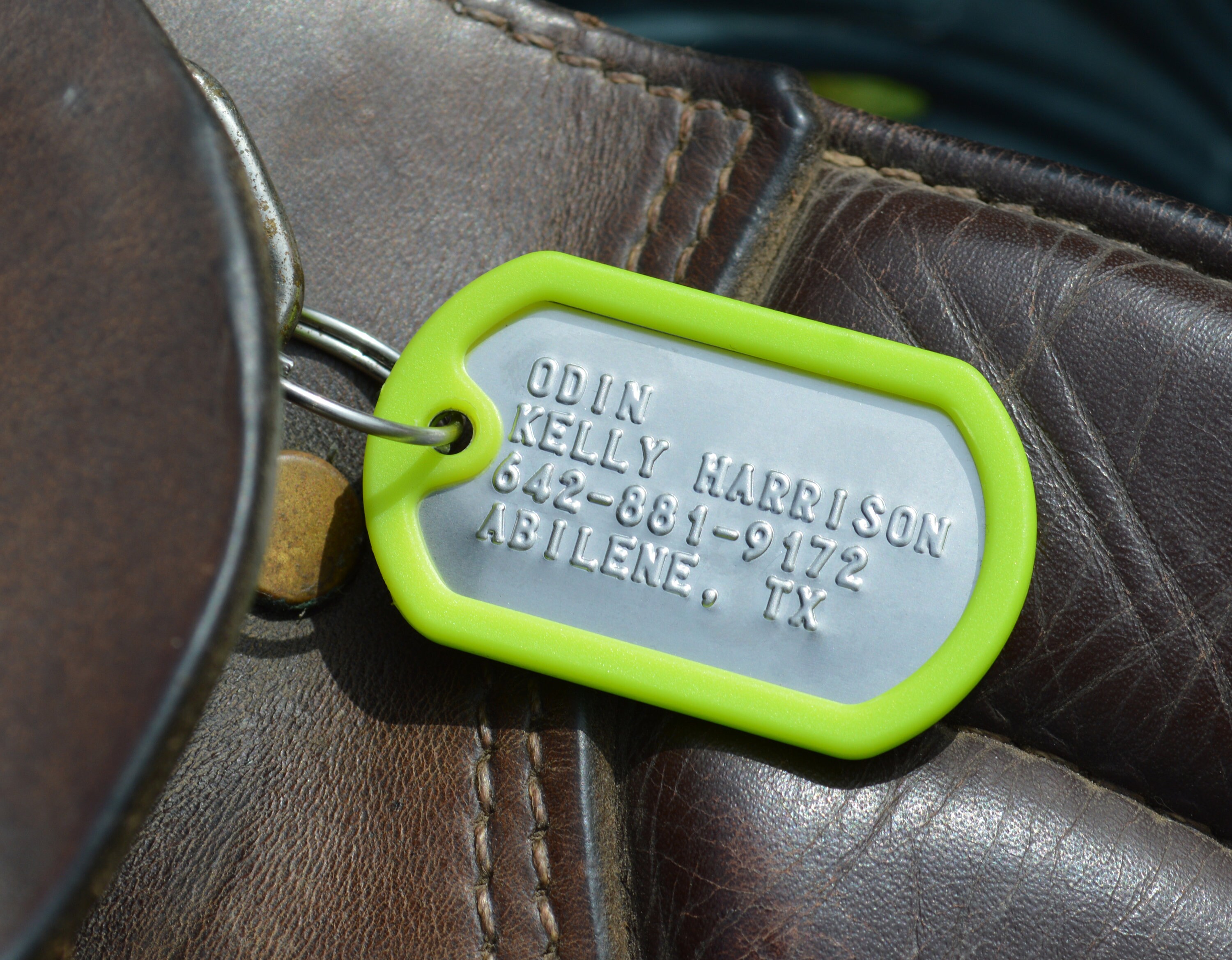 Toughtags Horse ID Tag, Bridle Tag, Horse Name Tag, Halter Tag, Horse ...