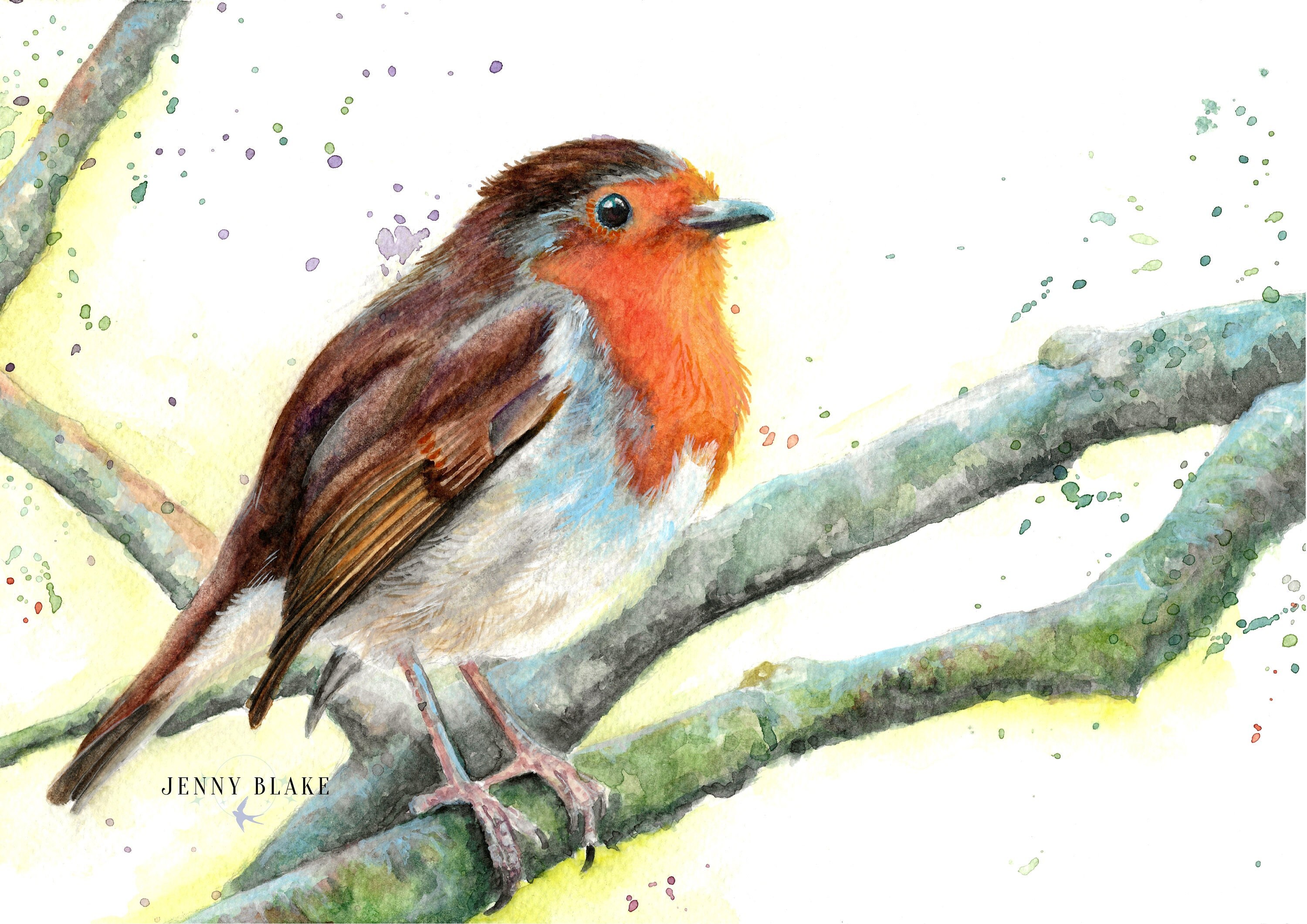 Robin - Watercolour Fine Art Print - Etsy