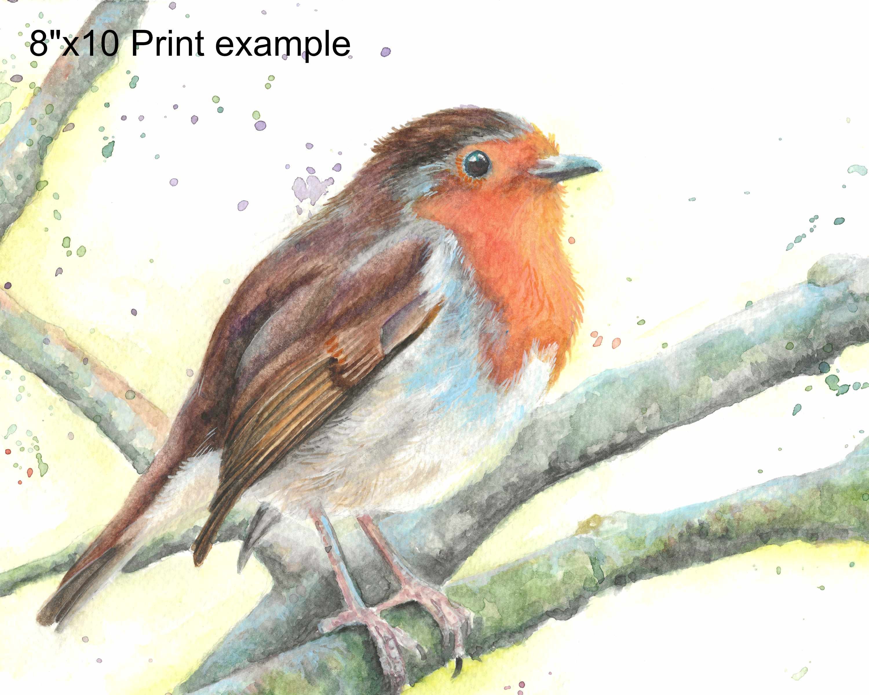 Robin - Watercolour Fine Art Print - Etsy