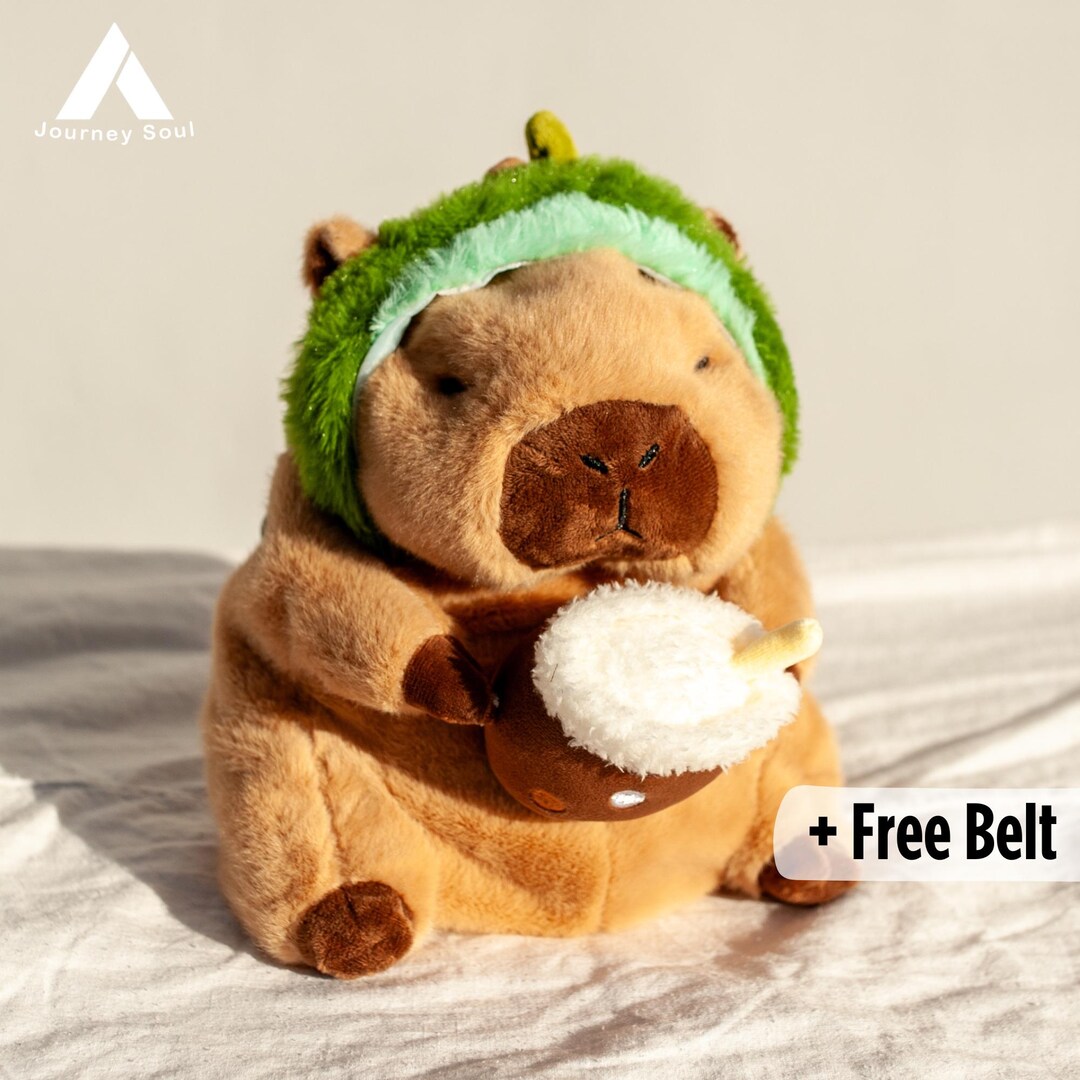 Plush Chalk Bag "capybara Frog" - Etsy