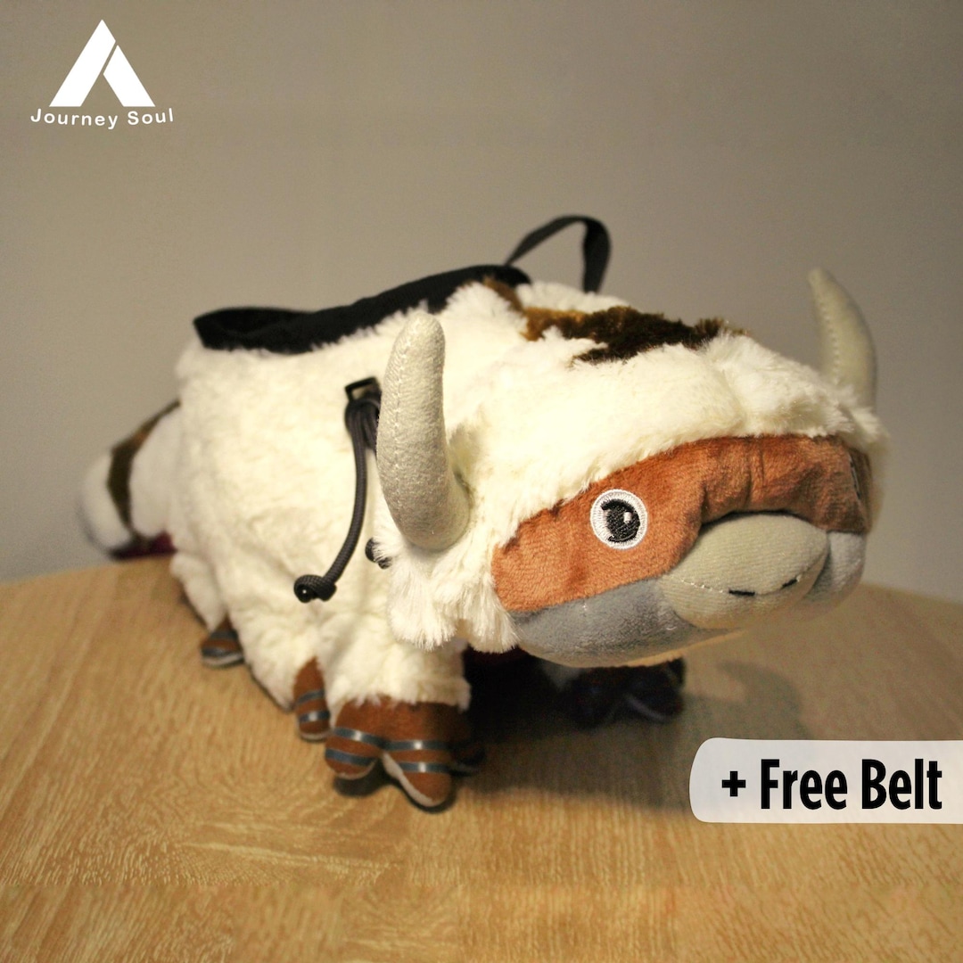 Bouldering Chalk Bag "appa" - Etsy