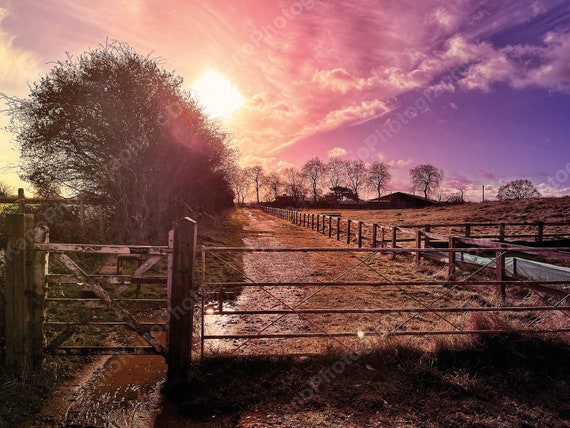 Country Park instant Digital Download Nature Photography | Etsy