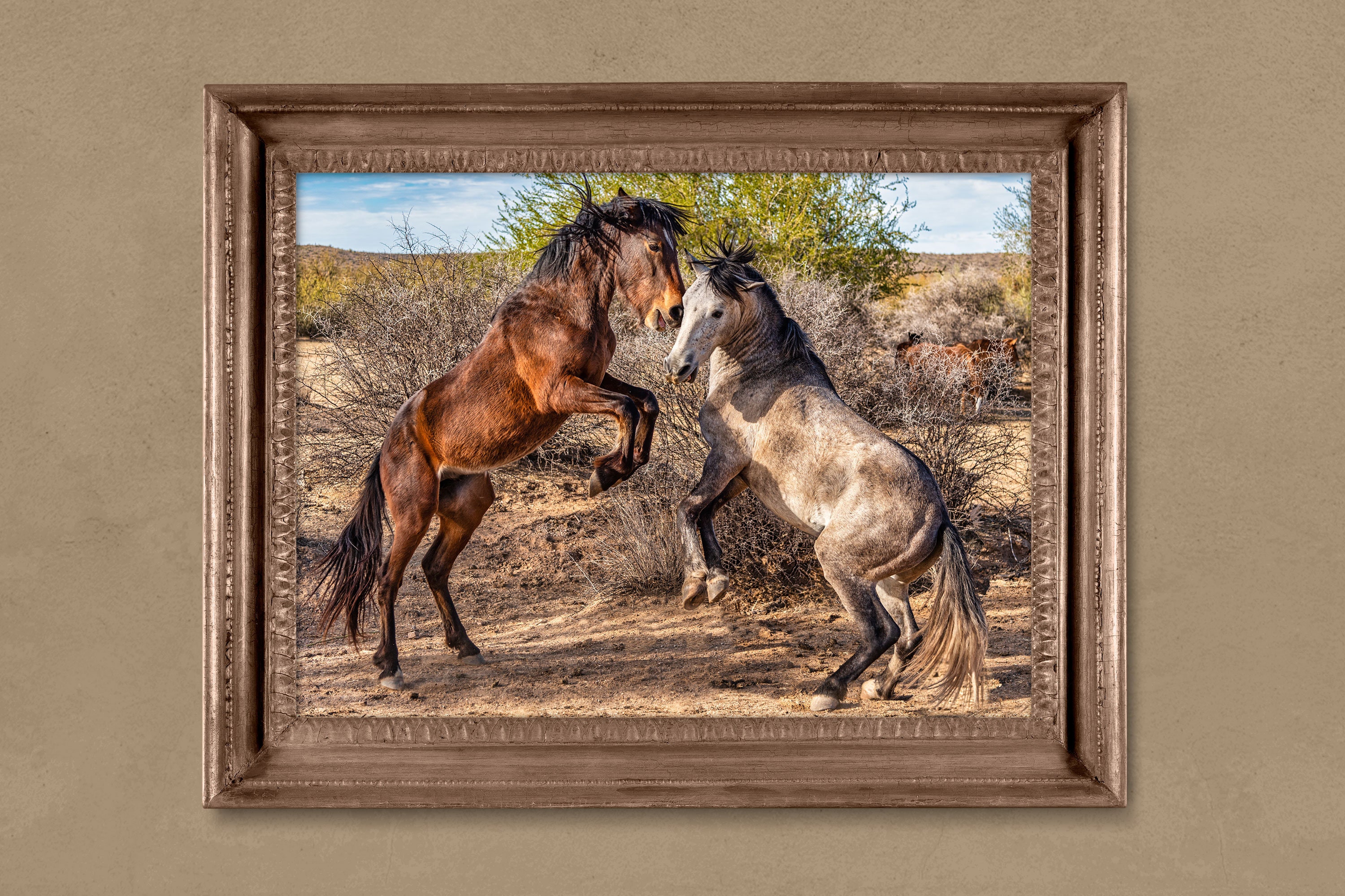 Horse Photography | Wild Mustang Mix up | Downloadable Digital Print ...