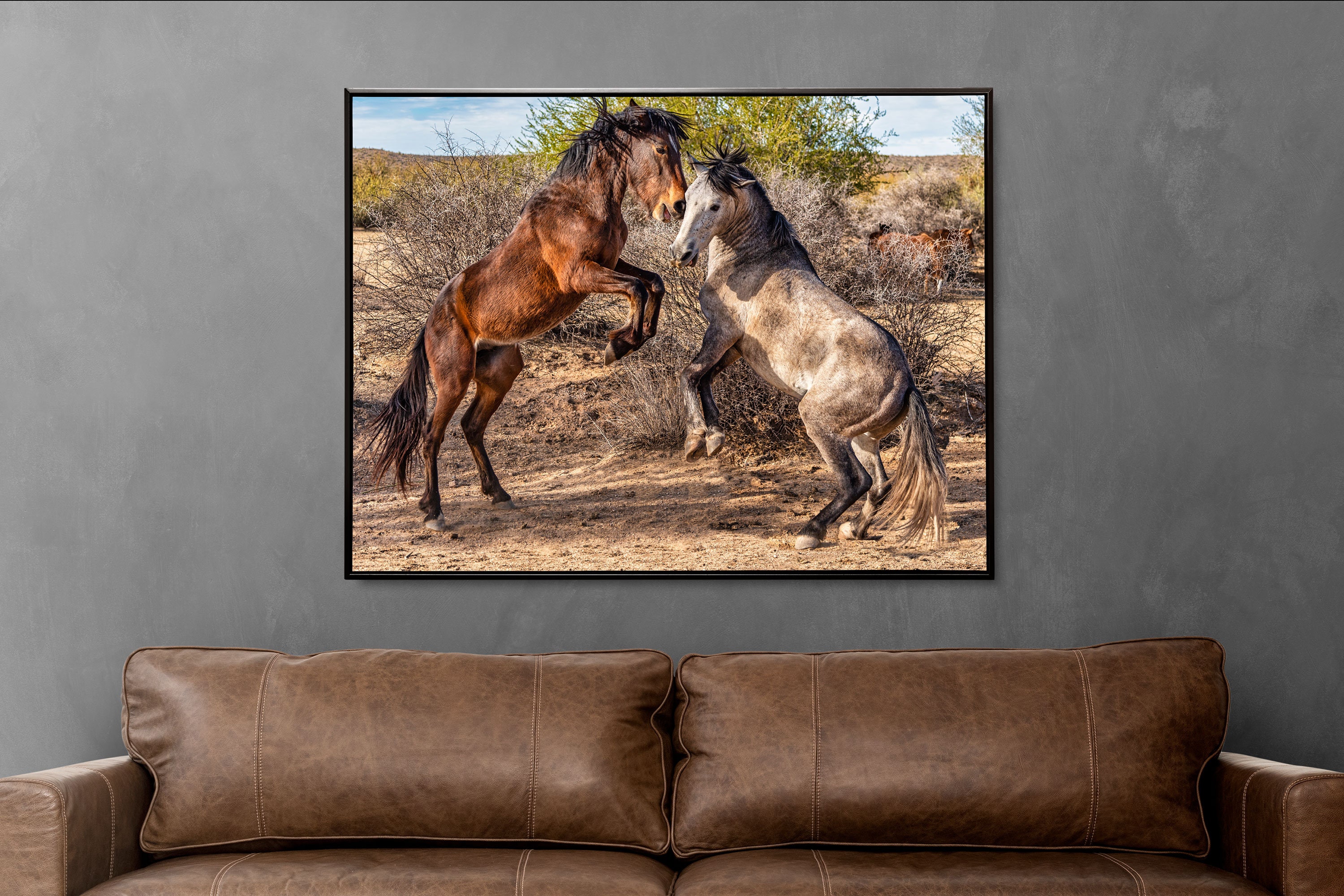 Horse Photography | Wild Mustang Mix up | Downloadable Digital Print ...