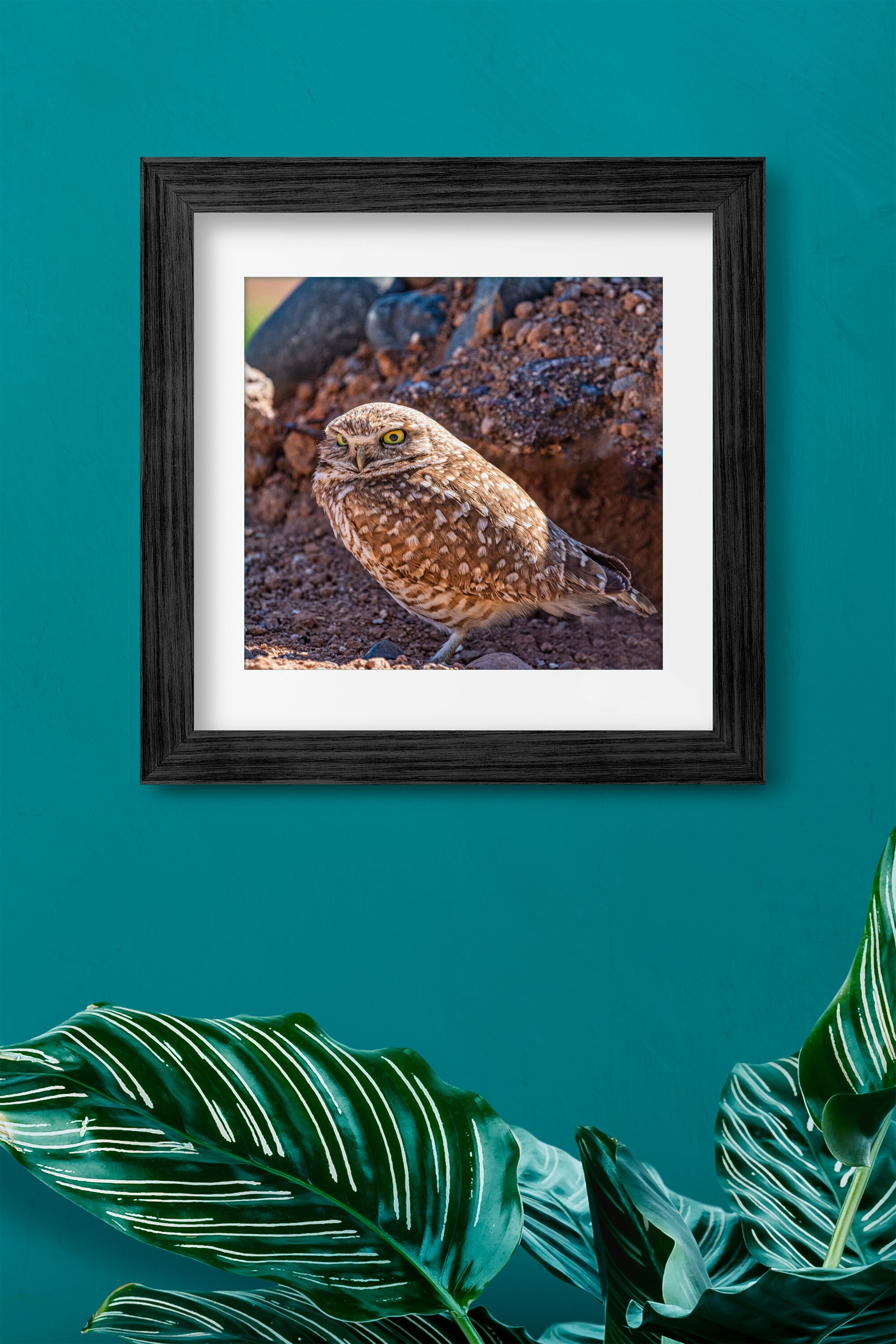 Owl Decor | Printable Wall Art | Digital Print | Bird Print | Bird Wall ...
