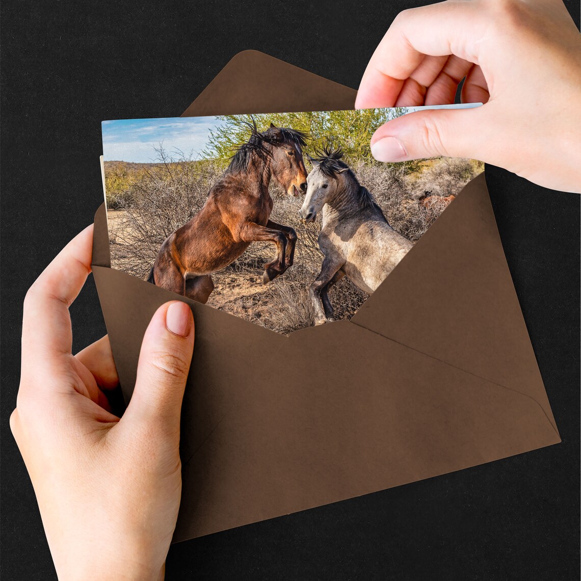 Horse Photography Wild Mustang Mix up Downloadable Digital Print ...