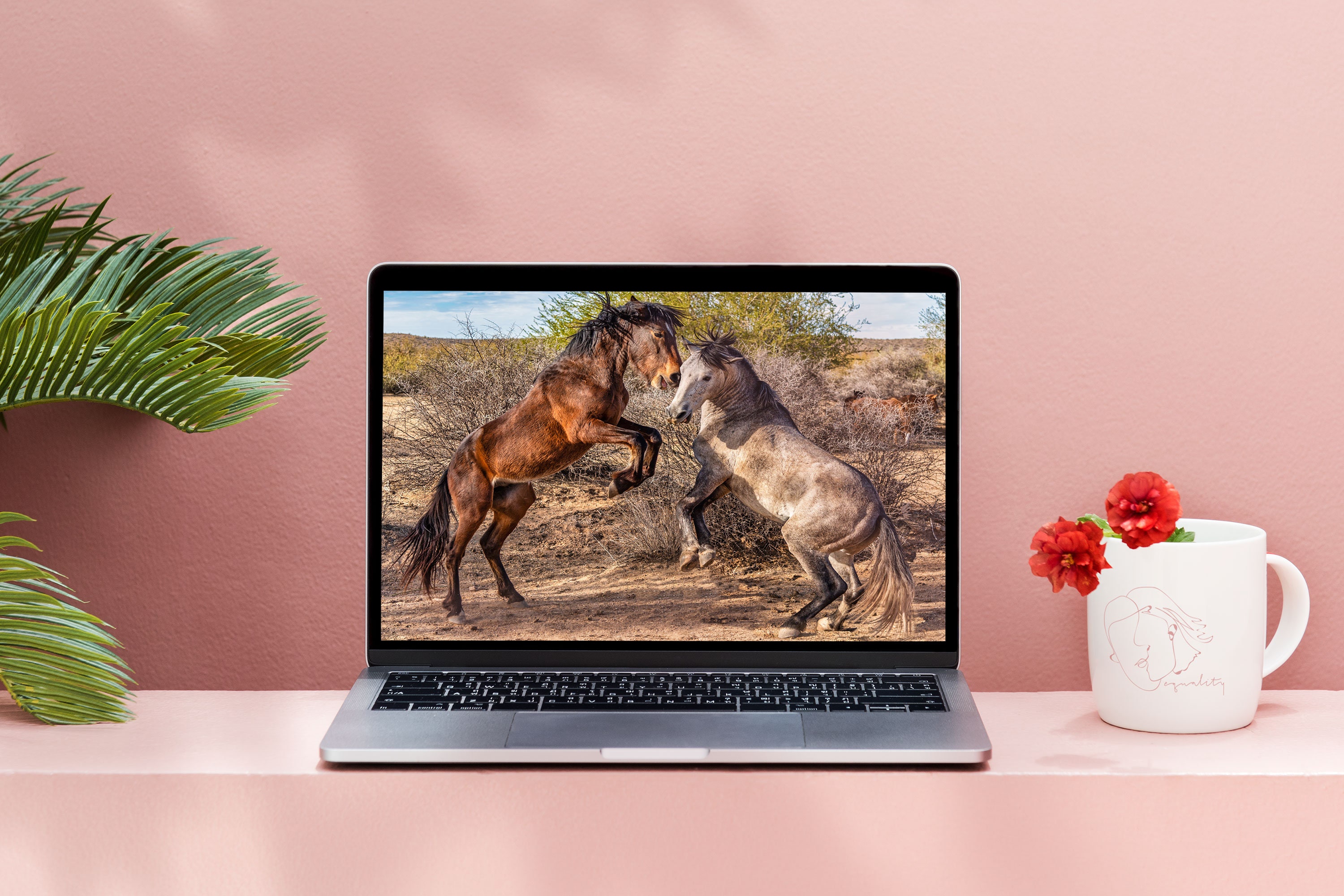 Horse Photography | Wild Mustang Mix up | Downloadable Digital Print ...