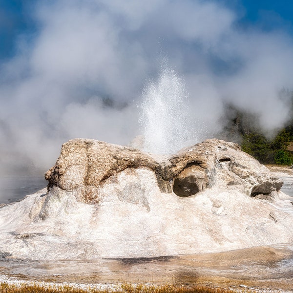 Geyser Wall Art - Etsy