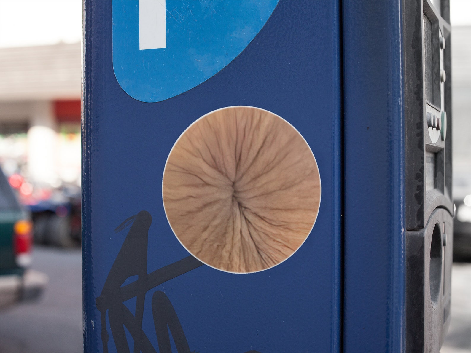 Butthole Sticker Free Shipping Premium Removable Vinyl Etsy