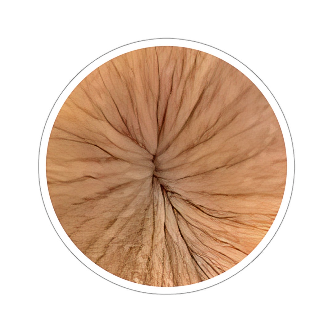 Butthole Sticker FREE SHIPPING Premium Removable Vinyl Round Butthole ...