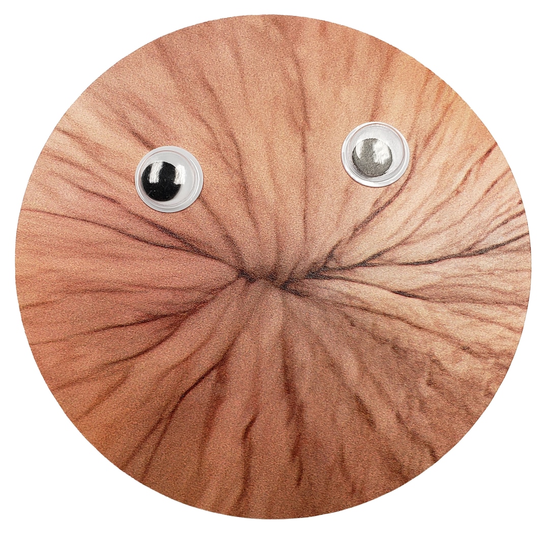 Custom Butthole Sticker With Googly Eyes FREE SHIPPING Premium ...