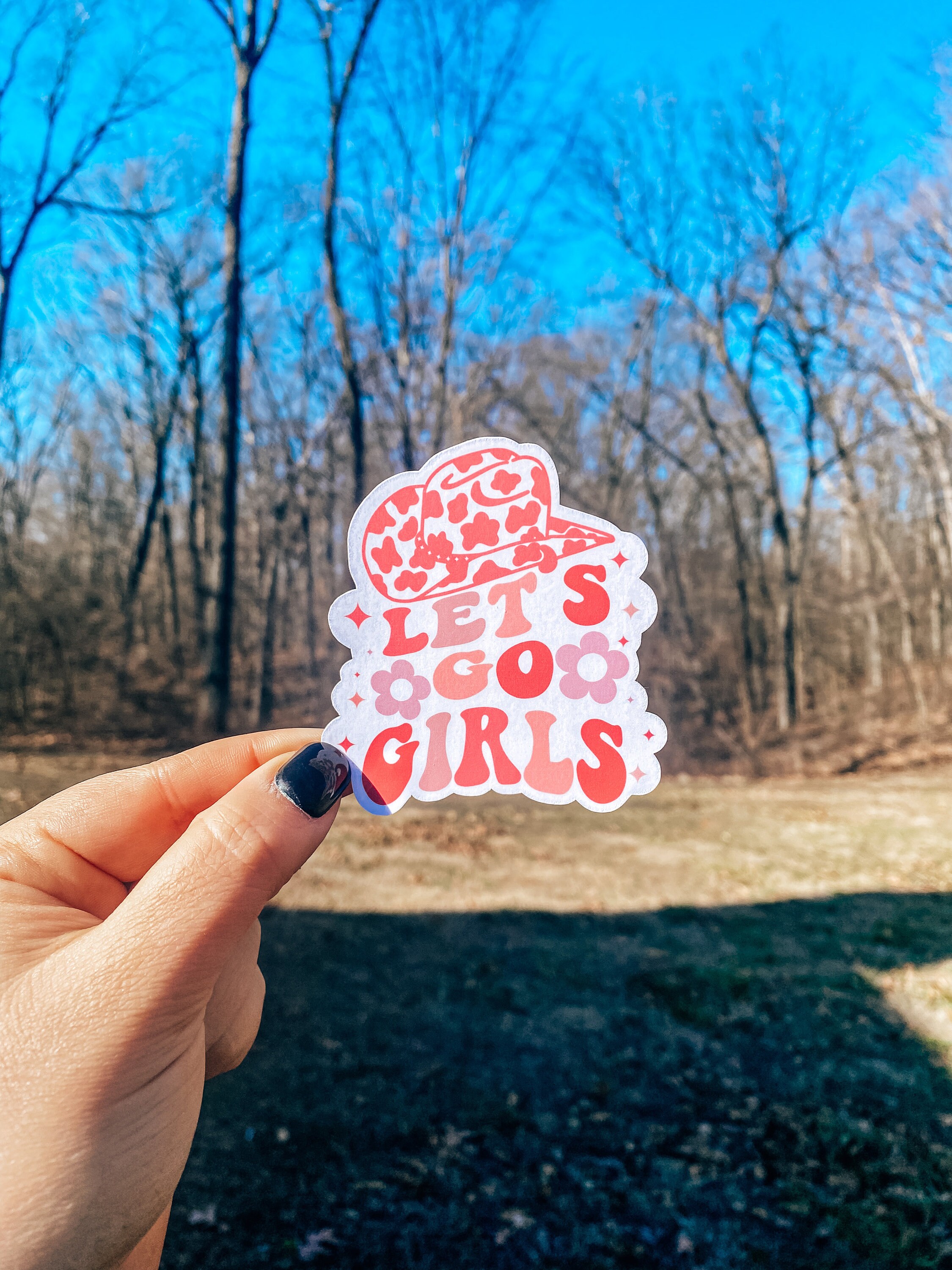 Let's Go Girls Sticker Western Sticker Pink Cowgirl Hat Western ...