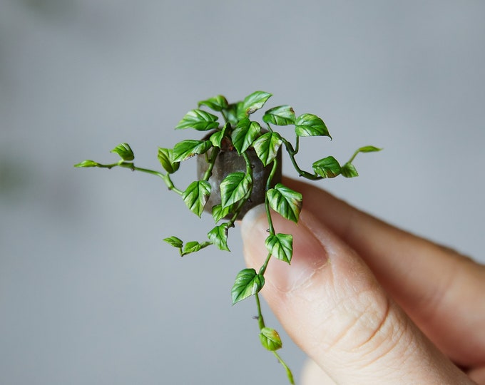 Miniature Pothos Plant Model Made From Clay - Etsy