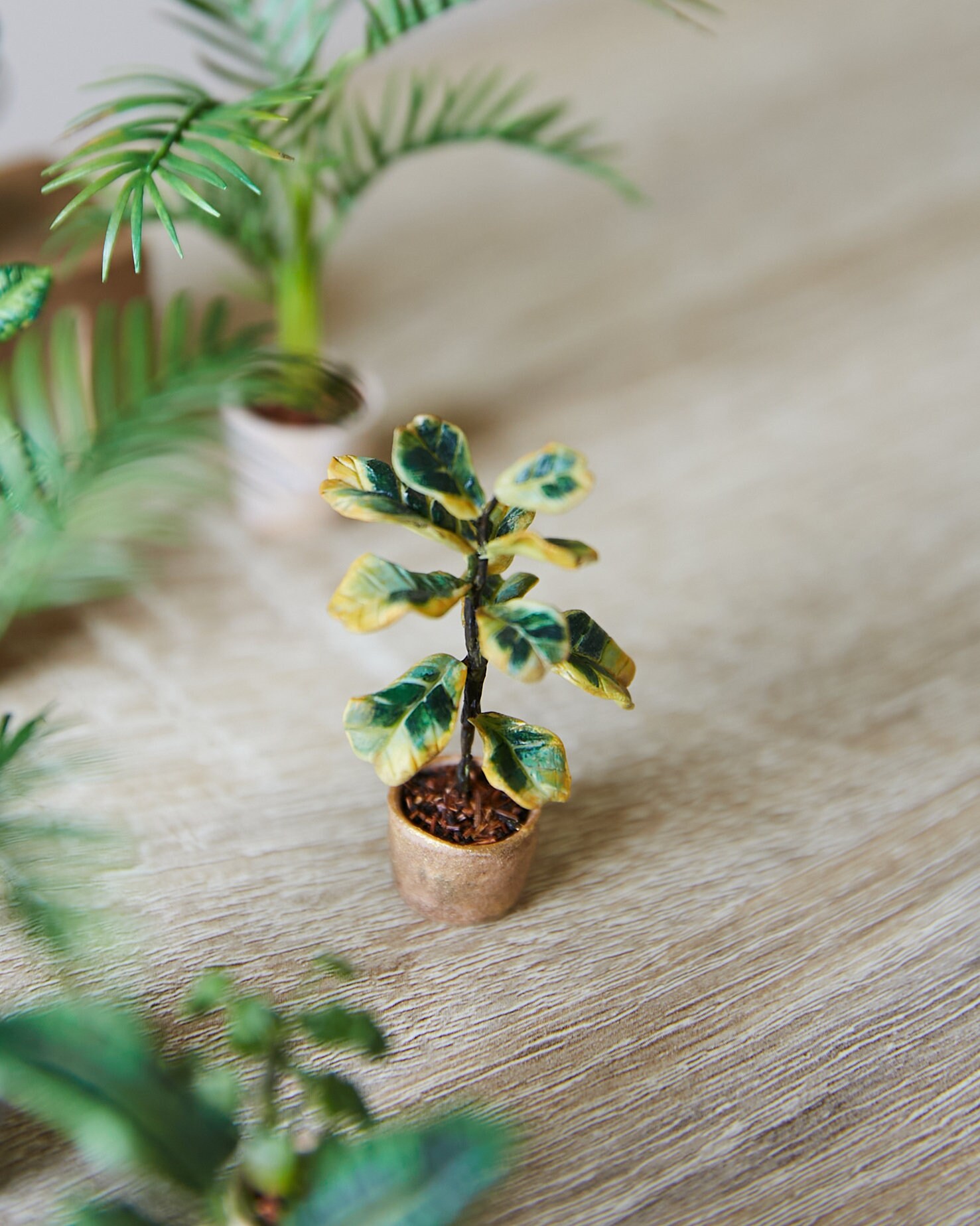 Miniature Variegated Fiddle Fig Plant Model Made From Clay - Etsy