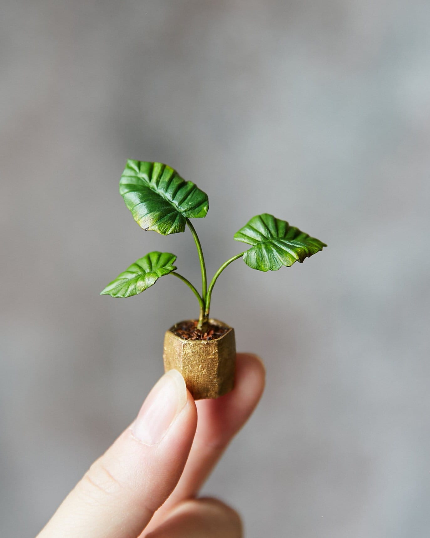Miniature Alocasia Elephant Ear Plant Model small Made From - Etsy