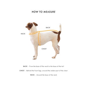 DOWNLOAD SEWING PATTERN / Luna-jumpsuit for Your Dog, Pdf Sewing ...