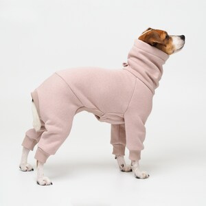 DOWNLOAD SEWING PATTERN / Luna-jumpsuit for Your Dog, Pdf Sewing ...