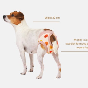 DOWLOAD SEWING PATTERN / Heat Pants for Your Dog, Pdf Sewing Pattern ...