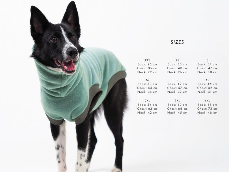 DOWNLOAD SEWING PATTERN / Noah-sweater for Your Dog, Pdf Sewing Pattern ...