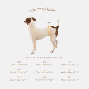 DOWLOAD SEWING PATTERN / Heat Pants for Your Dog, Pdf Sewing Pattern ...