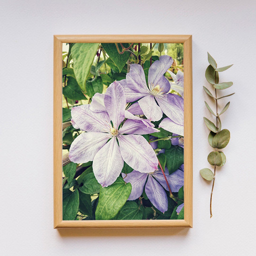 Flower Art, Floral Digital Art Print, Flower Photography, Floral Wall ...