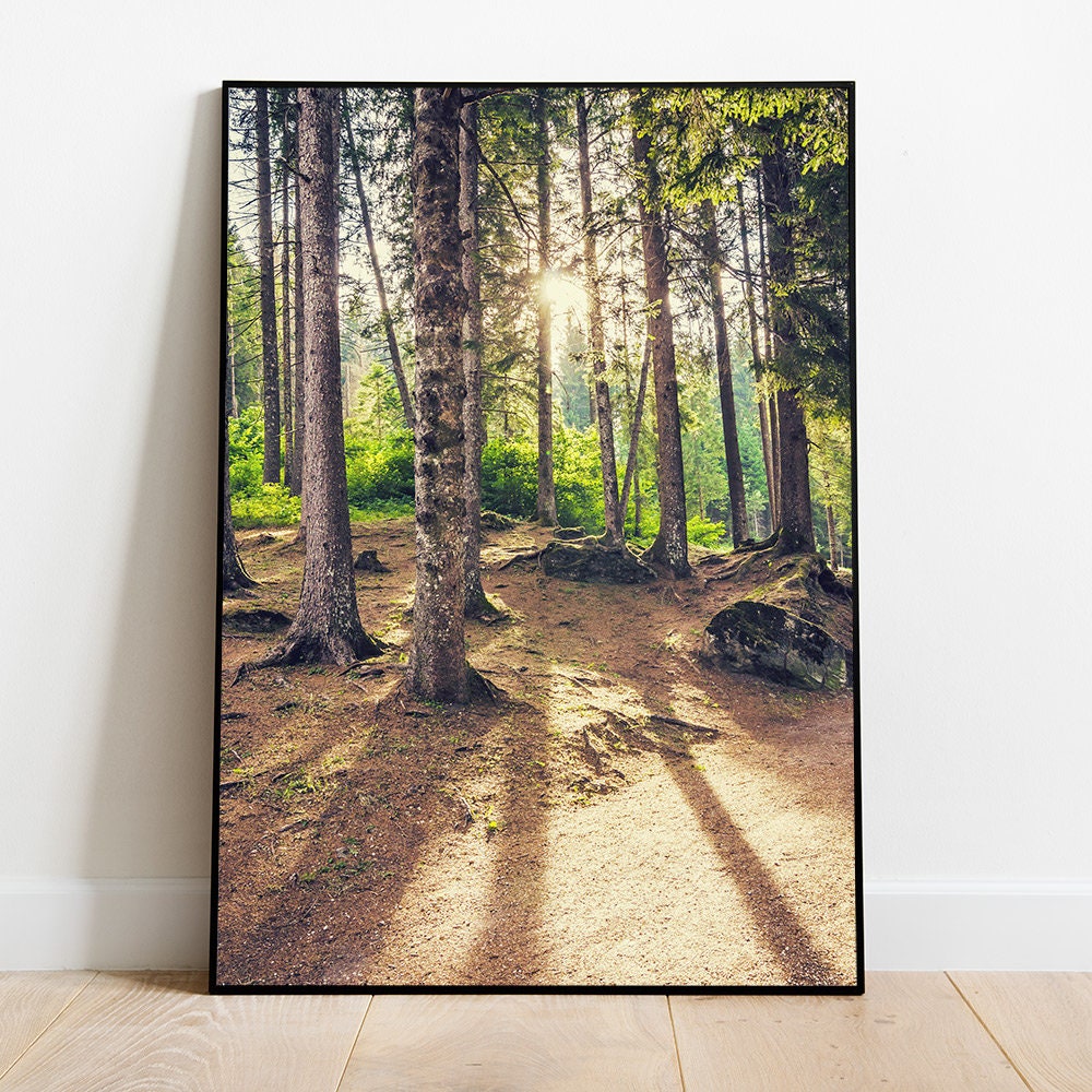 Forest Printable Art, Nature Print, Sun Rays Photo, Wood Photography ...