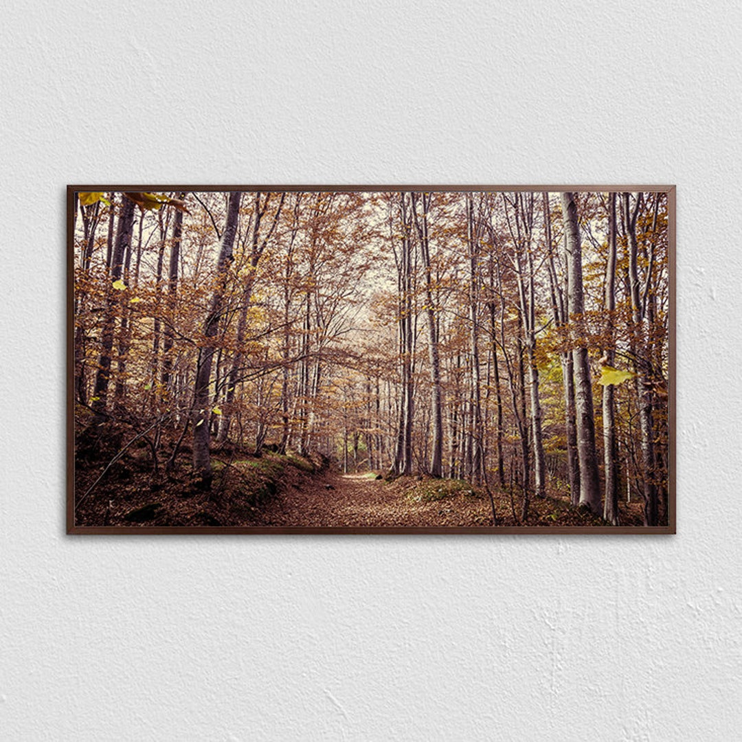 Moody Autumn Forest Art for Samsung Frame TV (digital Download) - Etsy