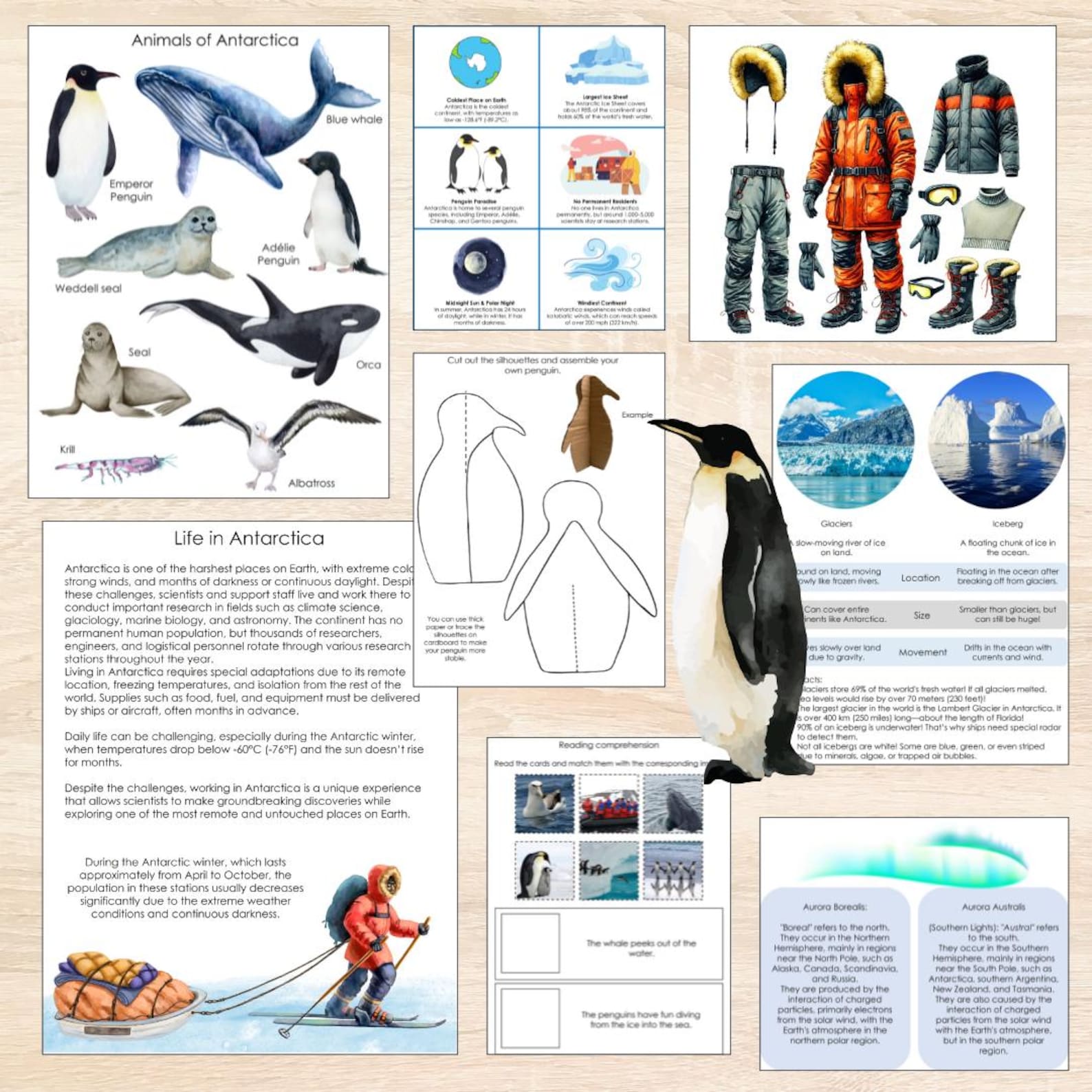Antarctica Unit Study (english) - Etsy