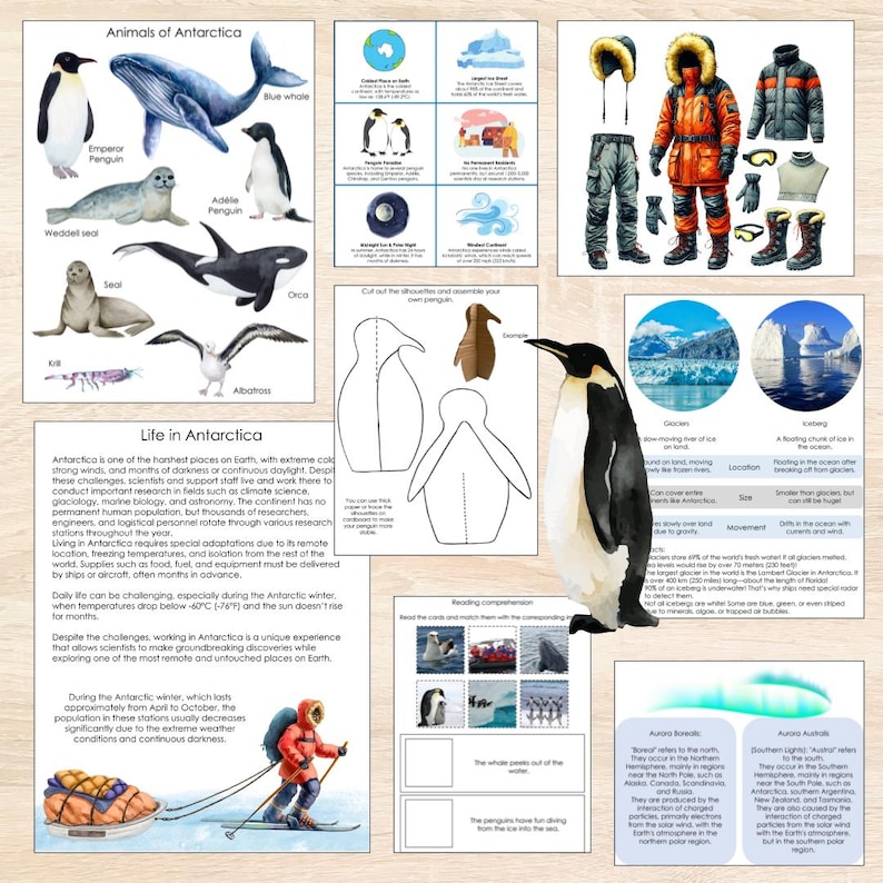 Antarctica Unit Study (english) - Etsy