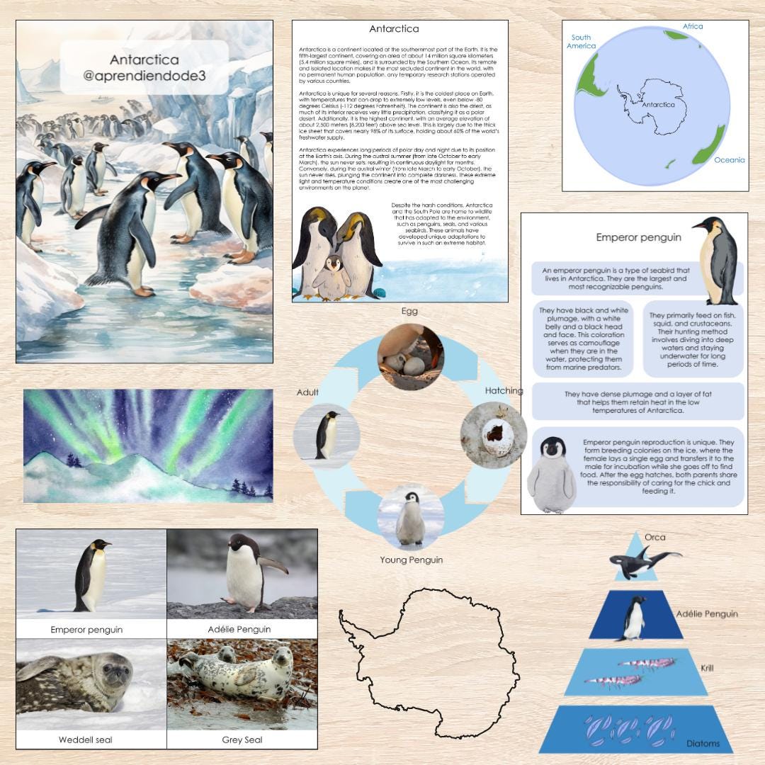 Antarctica Unit Study (english) - Etsy