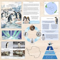 Antarctica Unit Study - Etsy