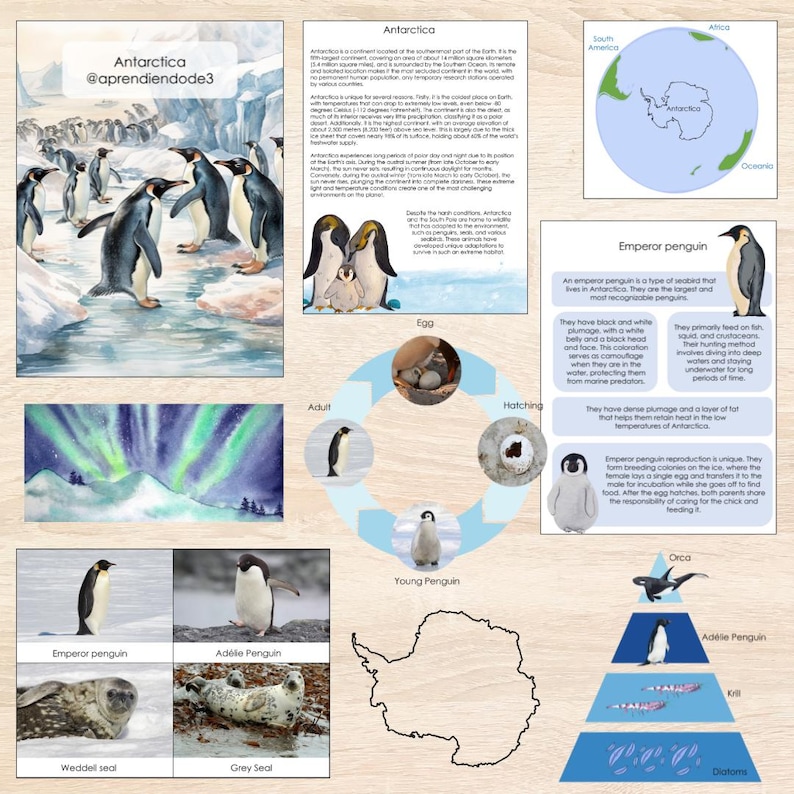 Antarctica Unit Study (english) - Etsy