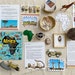 Africa - Unit Study (english) - Etsy