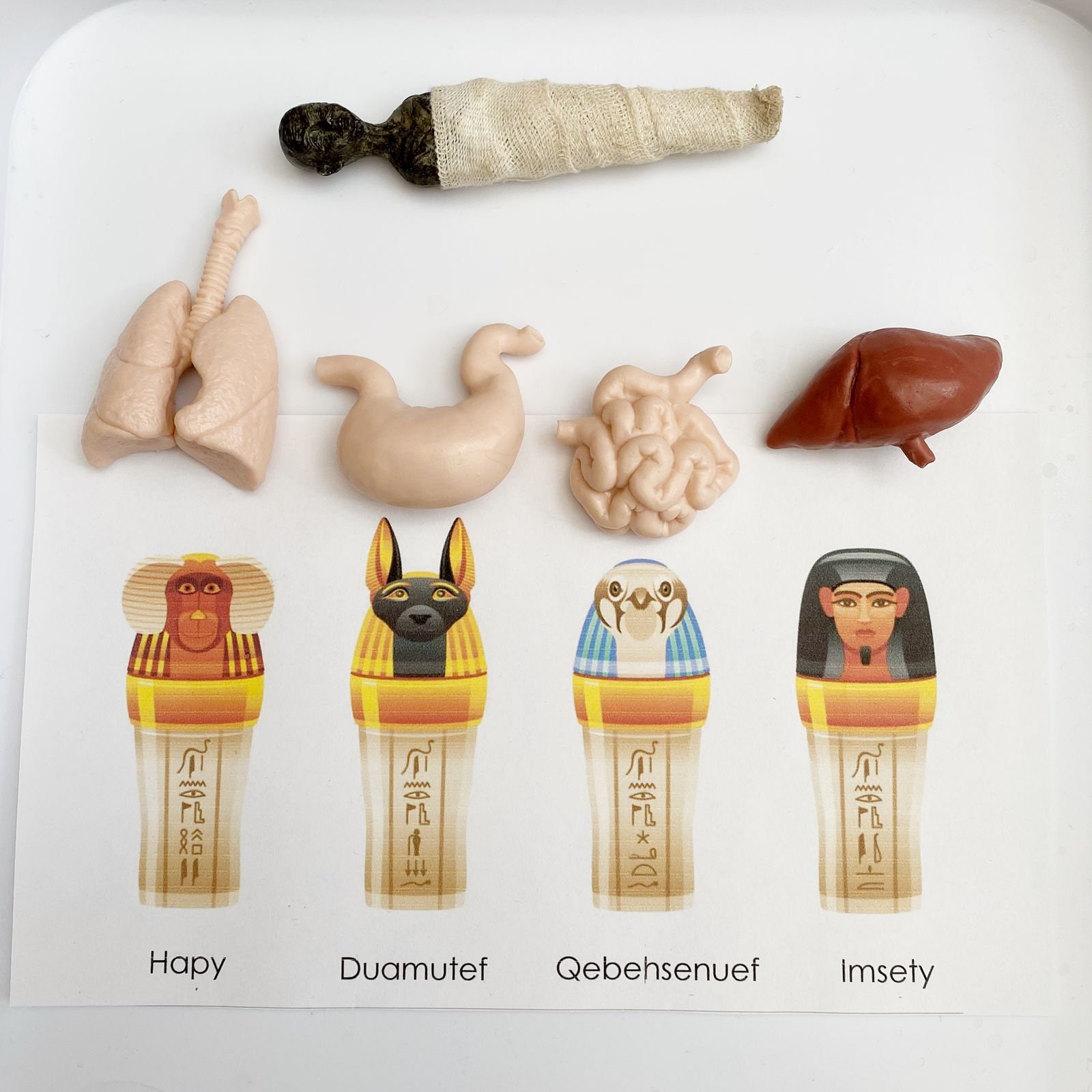 Egypt Unit Study (english) - Etsy