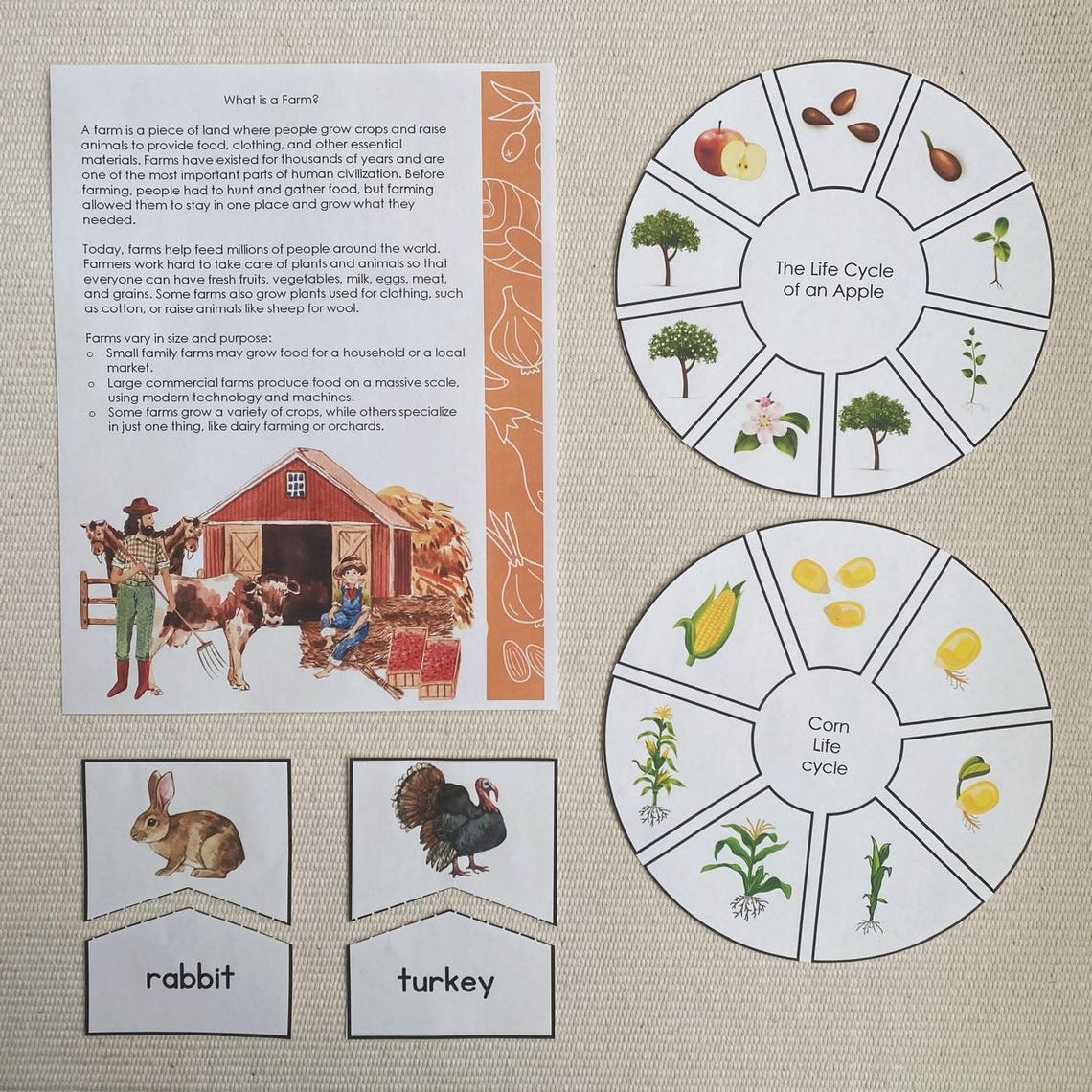Farm Unit Study (english) - Etsy