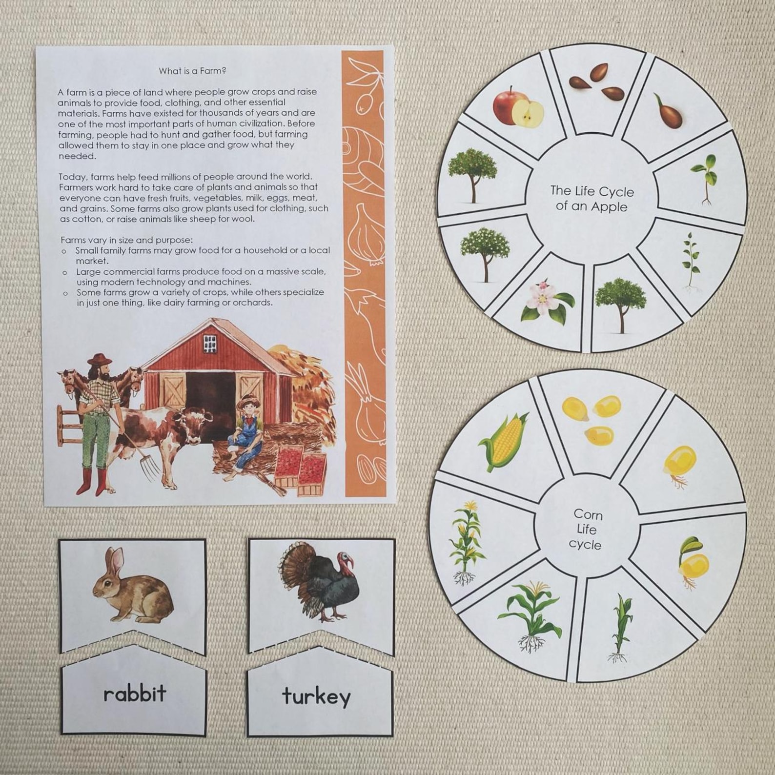 Farm Unit Study (english) - Etsy