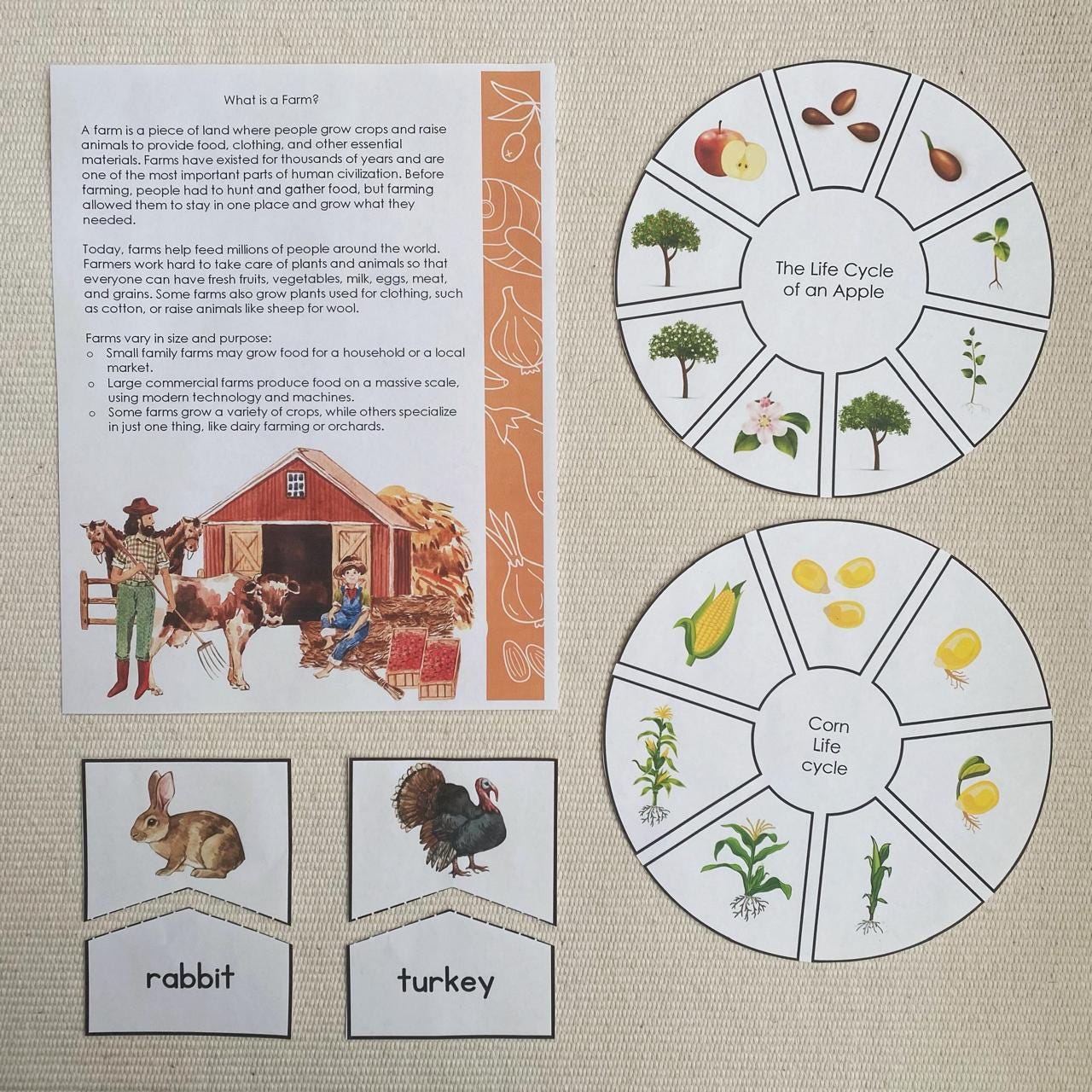 Farm Unit Study (english) - Etsy