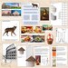 Italy Unit Study (english) - Etsy