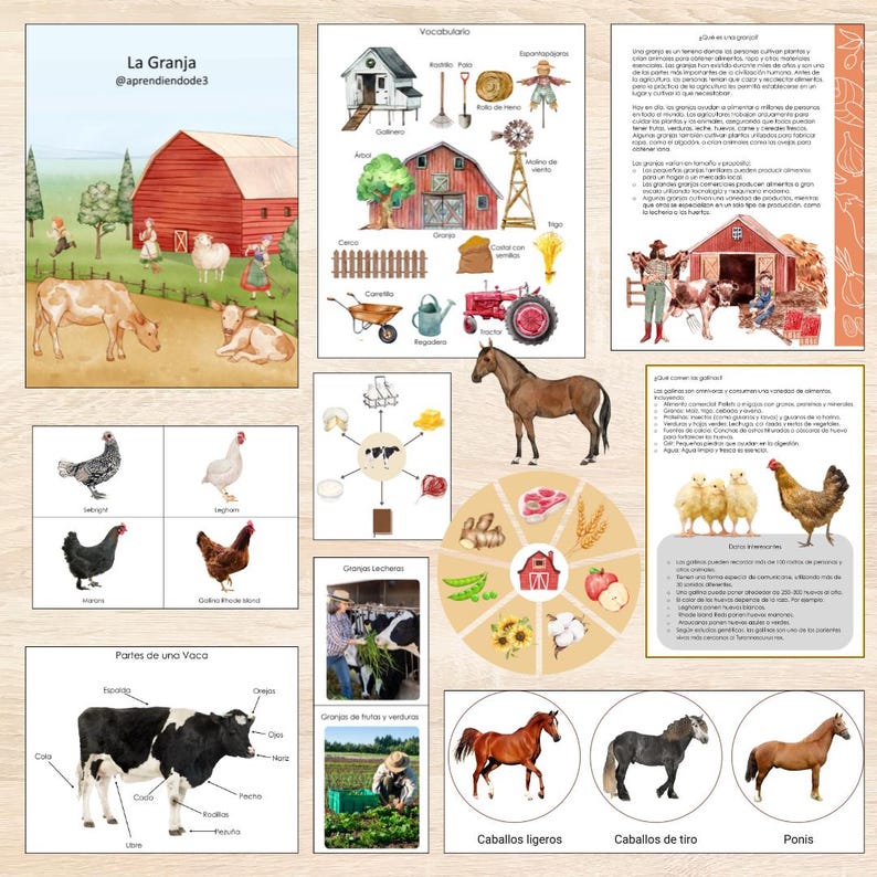 La Granja Unidad De Estudio (español) - Etsy