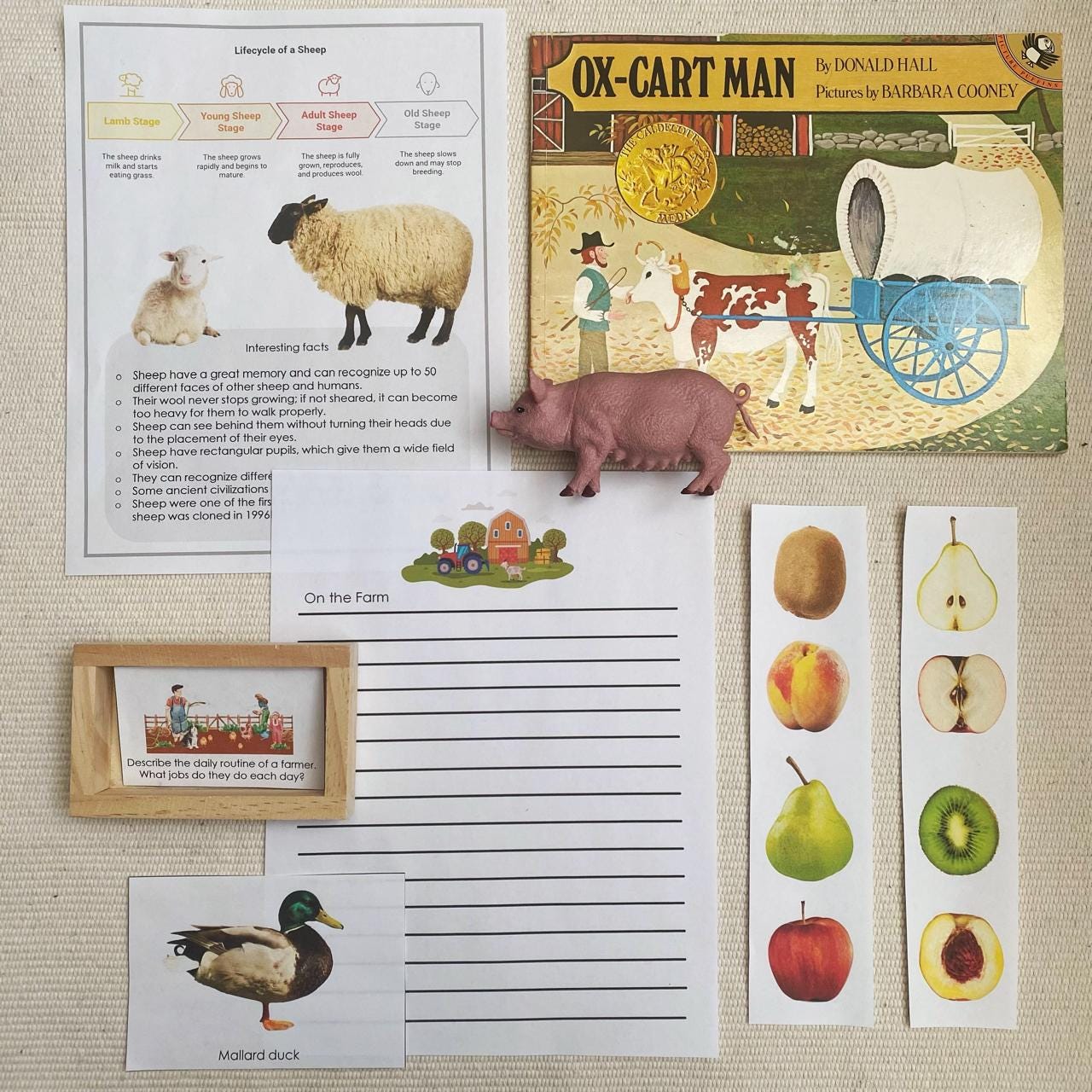 Farm Unit Study (english) - Etsy