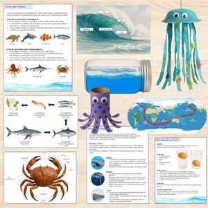 El Océano - Unidad De Estudio - Etsy