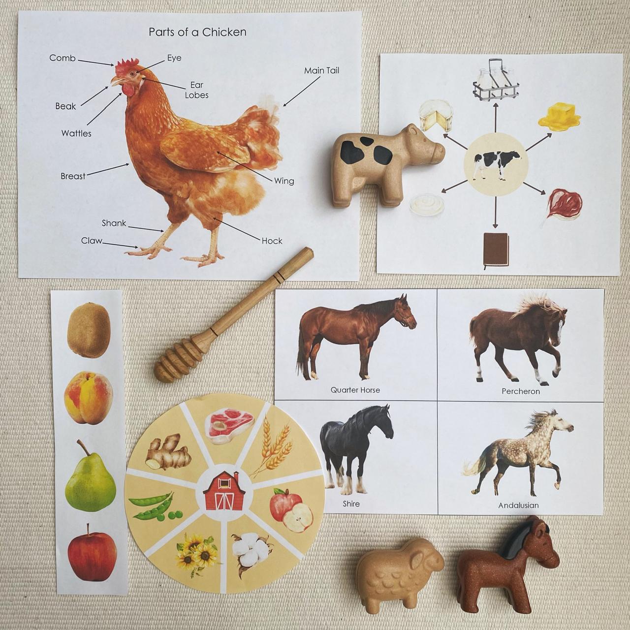 Farm Unit Study (english) - Etsy