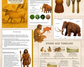 The Stone Age Vocabulary Printable Flashcards Bulletin Board ...