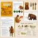 The Stone Age: Learning Activities & Timeline - Etsy