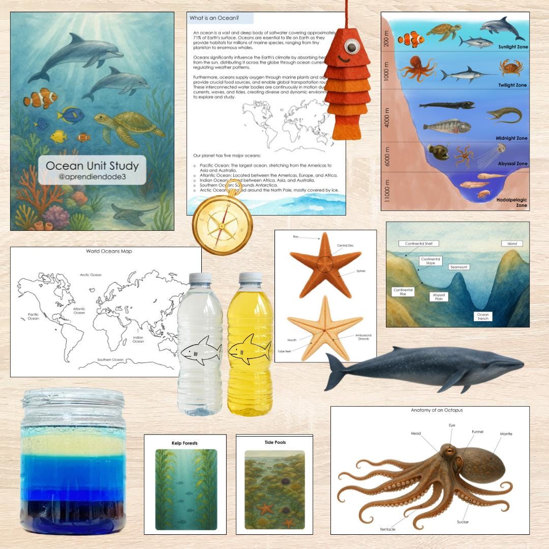 The Ocean Unit Study - Etsy