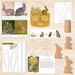 Rabbit Unit Study - Etsy