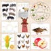 La Granja Unidad De Estudio (español) - Etsy