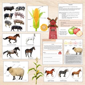 Farm Unit Study (english) - Etsy