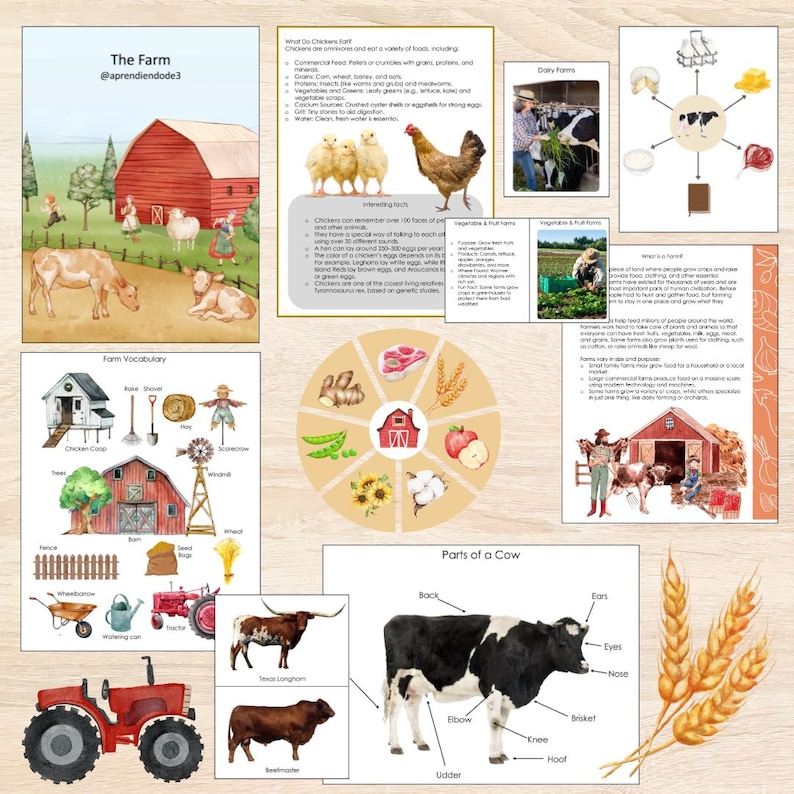 Farm Unit Study (english) - Etsy