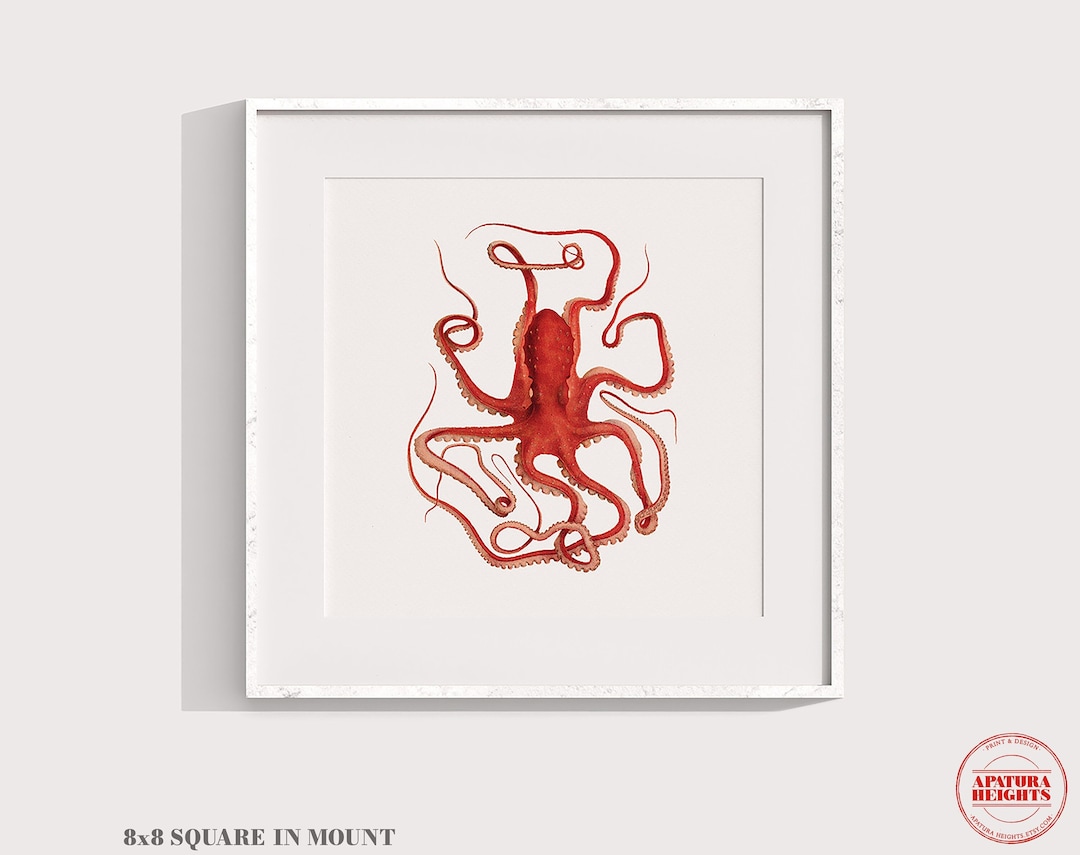Red Octopus Illustration Print: Vintage Sea Creature Wall Art - Etsy